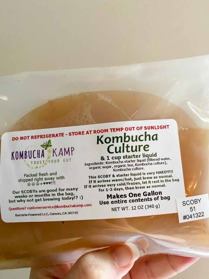 Make Your Own Kombucha with Kombucha Kamp - Trial and Eater