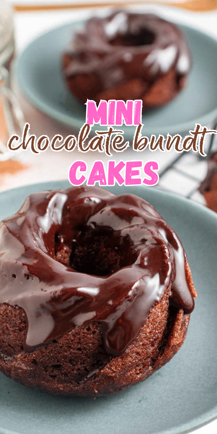Mini Chocolate Bundt Cakes with Chocolate Ganache